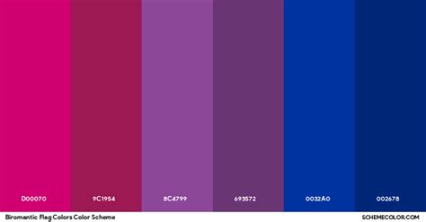 Biromantic Flag Colors Flags
