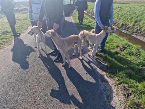 Three Males Arrested After Being Caught Hare Coursing Eye On Southport