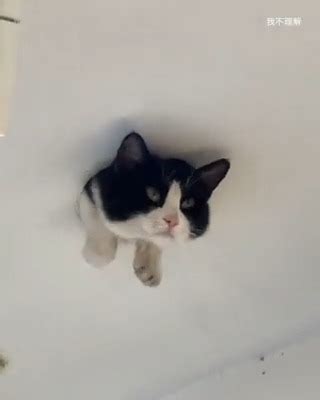 Amri On Twitter RT 9GAG Cctv Https T Co FRD86p95kB Twitter