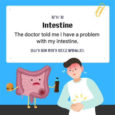 영어표현 카드뉴스 장루요루장애 Dwbnews장애인복지뉴스