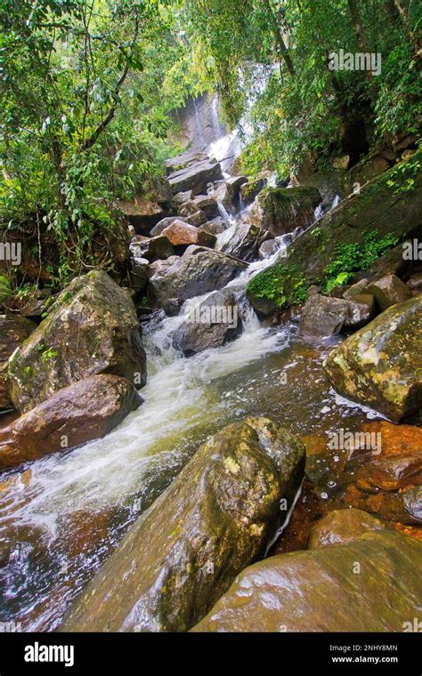 Waterfall Sinharaja National Park Rain Forest Sinharaja Forest