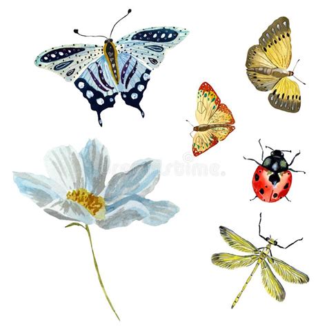 Butterfly Ladybug Dragonfly Red Blue A Watercolor Stock Illustration