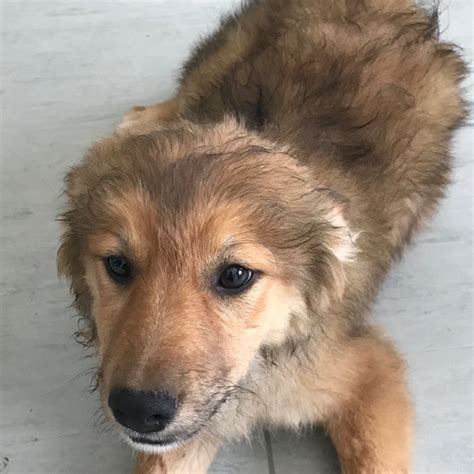 ОП Екоравновесие Столична община