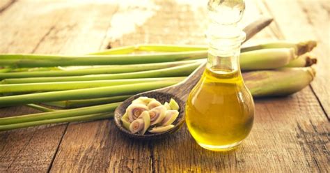 Lemongrass Essential Oil Benefits Amazing For Face Skin Hair And Gut