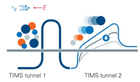 Bruker Tims Tof Flex Maldi 2 Centre For Microscopy And Microanalysis University Of Queensland