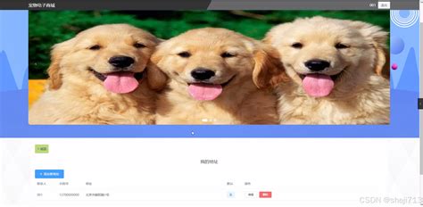 （开题）flask框架宠物电子商城（程序论文python） Csdn博客