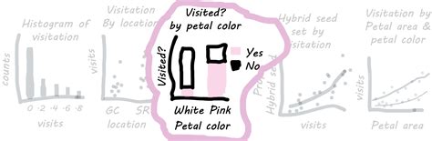 3 Two Categorical Variables Applied Biostatistics