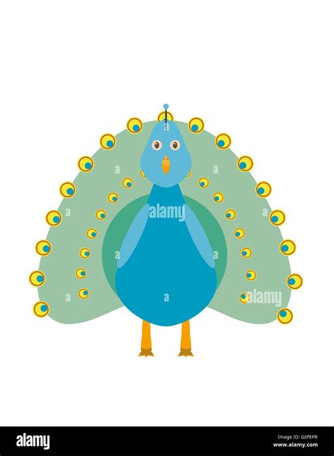 Funny Peacock Character Stock Vector Image And Art Alamy