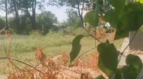 ချောင်းဦးမြို့မရဲစခန်းမှူးလိုက်ပါလာသည့်ကား ၁ စီး မိုင်းဆွဲတိုက်ခိုက်ခံရ