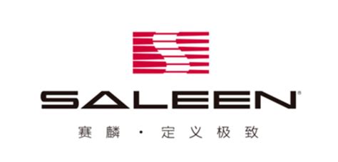赛麟汽车董事长王晓麟涉嫌犯罪被立案侦查 目前人在美国 科技先生