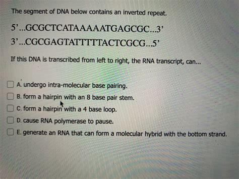 solved the segment of dna below contains an inverted repeat