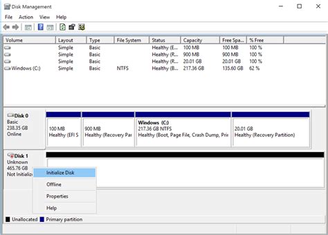 Disk Unknown Not Initialized Destinationsany