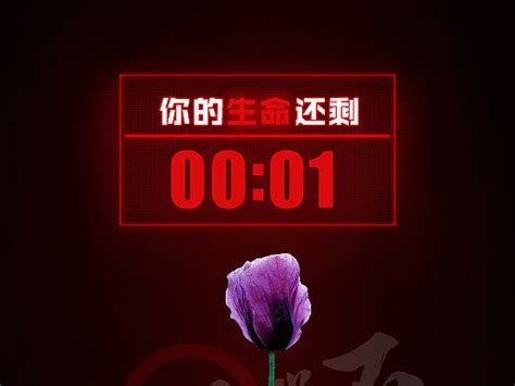 公益广告创意设计作品图片素材 站酷zcool