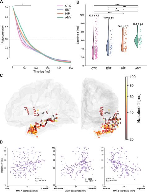 Intrinsic Neural Timescales In The Temporal Lobe Support An Auditory Processing Hierarchy