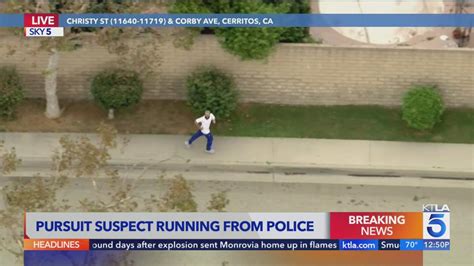 Man Leads Police On Wild Chase Through Los Angeles Later Caught