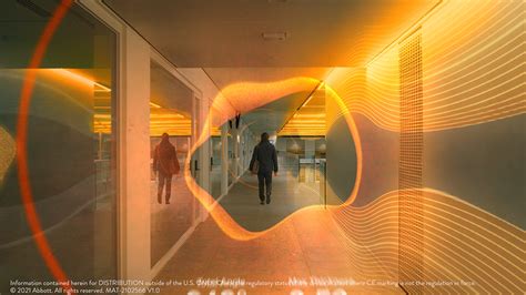 Ultreon™ 1 0 Software For Oct Intravascular Imaging Abbott