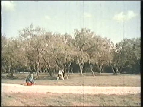 Bat Pussy 1973 Scorethefilms Movie Blog