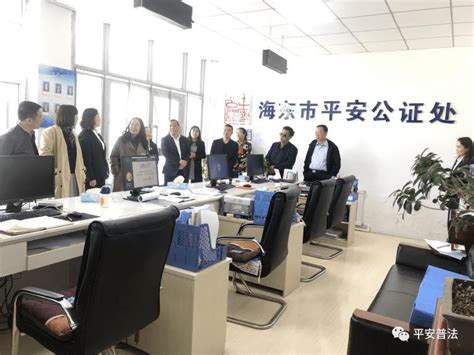 【教育整顿丨平安区】平安公证处召开公证行业突出问题专项治理征求意见座谈会工作