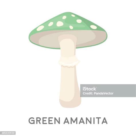 綠鵝膏菌在白色背景上孤立的卡通風格的圖示蘑菇象徵股票向量圖向量圖形及更多amanita圖片 Amanita 傘菌 卡通 Istock