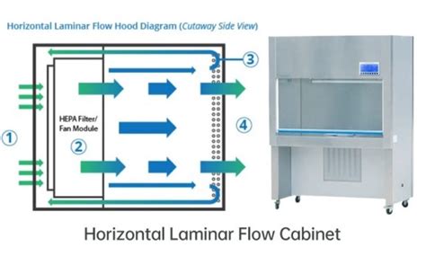 What Is A Horizontal Laminar Flow Hood Definition And Importance