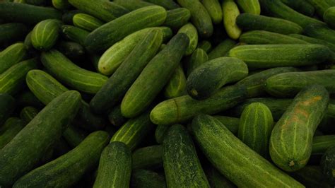 10 Vegetables That Love To Climb Farming Shelter