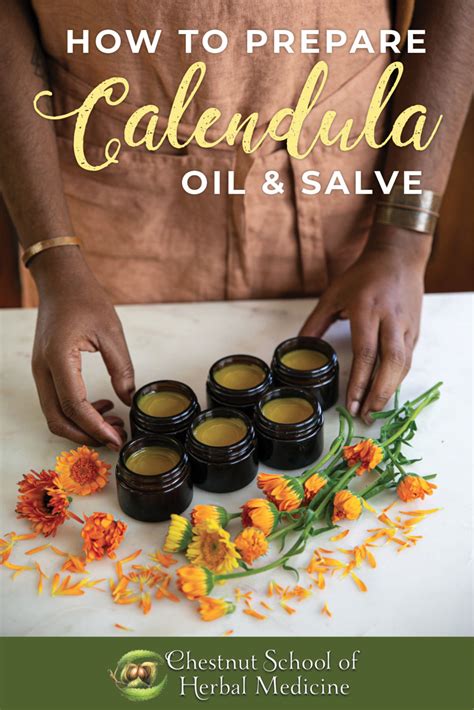 How To Make Calendula Salve Artofit