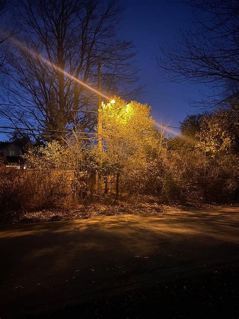 Sodium Vapor Lamp Wikipedia