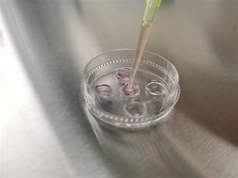 Blog 韦拓生物 深圳韦拓生物科技有限公司