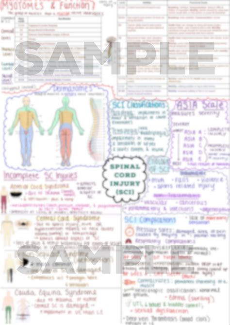 Spinal Cord Injury Concept Map Expanded Chart Etsy UK