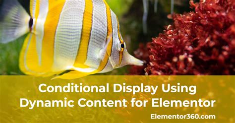 Conditional Display Using Dynamic Content For Elementor E
