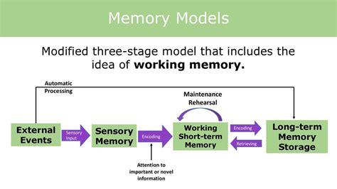 Introduction To Memory Ppt Download