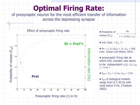 ppt coding of temporal information by activity dependent synapses