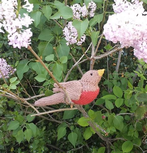 11 Knitted Robin Free Patterns Knit Knit