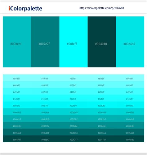 Mint Green Vs Teal At Amy Heyer Blog