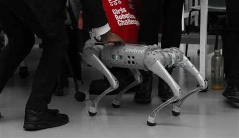 Girls Robotics Challenge Space To Explore Kings College London