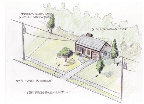 Tree Planting Guidelines Forest Keepers Tree Care