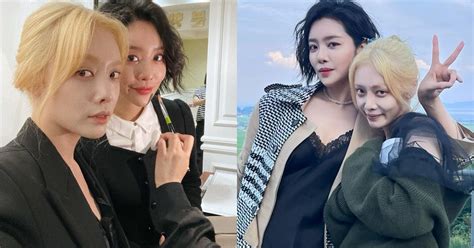 “혜정아 찔러서 미안해”…더 글로리 김히어라 차주영의 반전 일상 사진 5장 위키트리