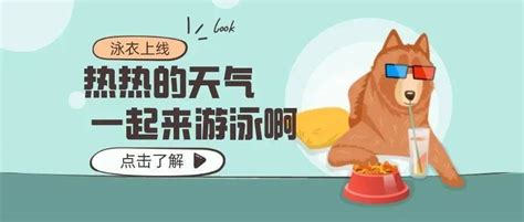 就算狗子会游泳，也需要泳衣！狗狗救生衣手柄