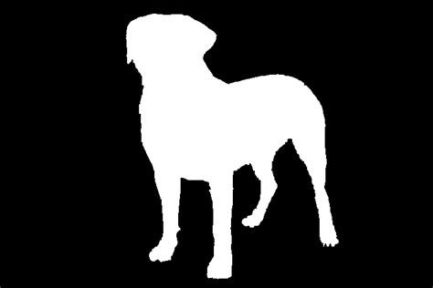 Python Distance Transform The Function Does Not Work Properly Stack Overflow