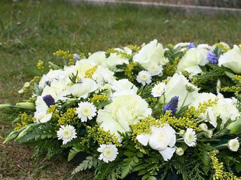 Stier Israel Funeral Home Louisville Oh Funeral Home And Cremation