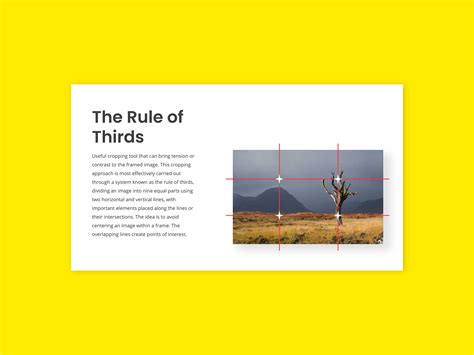 Grid And Layout On Behance