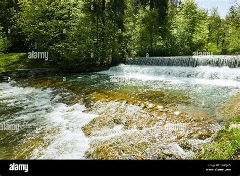 A Scenic Waterfall Cascading Through Trees With Tall Grass In The Toss