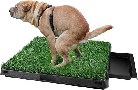 Toilettes pour chien Avec gazon artificiel Tapis d entraînement