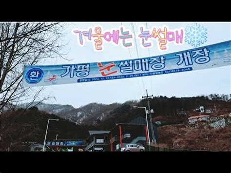 흰눈사이로 썰매를 타고 가평 눈썰매장 YouTube