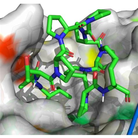 Projection Of The Best Binding Pocket Of Protein Pdb Id 5nn8 With
