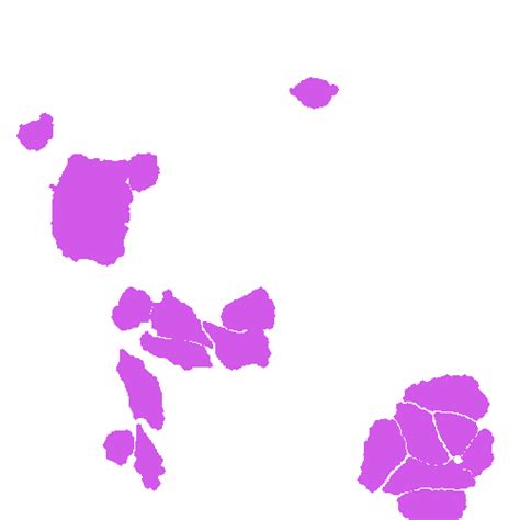 Annotated Quantitative Phase Microscopy Cell Dataset Ninja