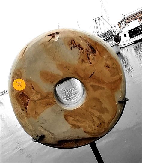 Aaron Gabriel Gallery Added A New Aaron Gabriel Gallery