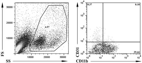 Flow Cytometric Analysis Of Tumor Endothelial Cells Download Scientific Diagram