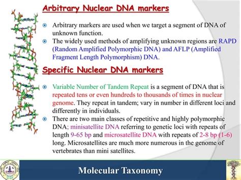 Molecular Taxonomy Pptx