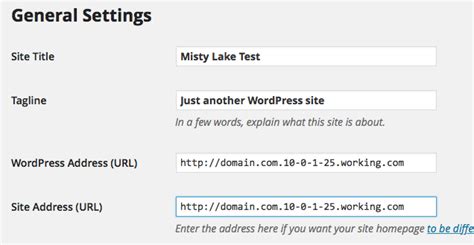 How To View Plesk Websites Even If Your Domain Does Not Resolve To Your Server The Wp Guru